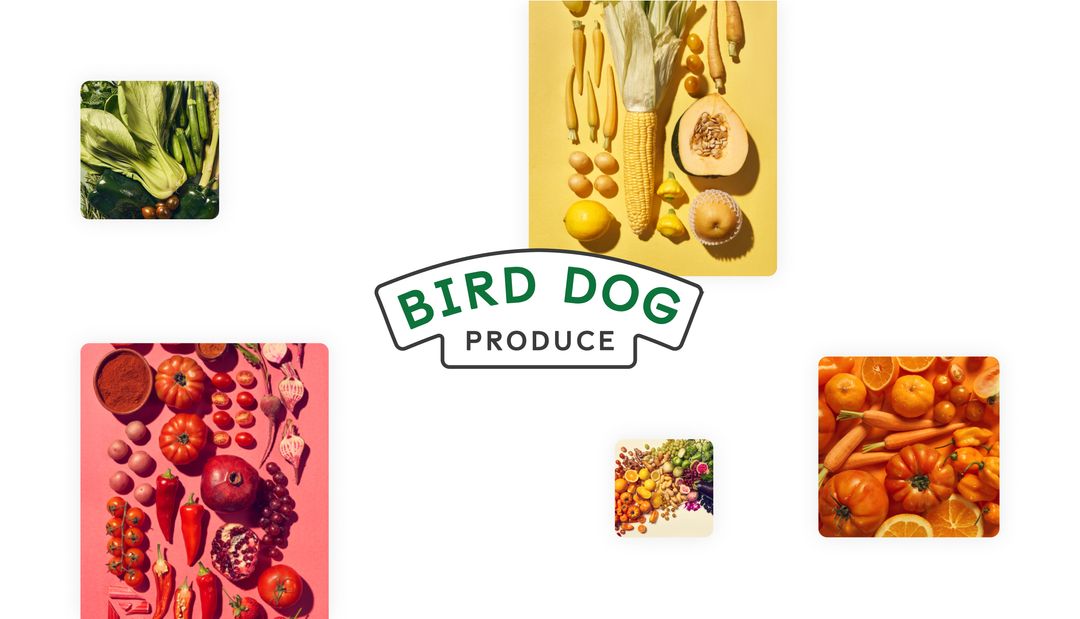 Creative and Ops Leader | Alex Leiphart